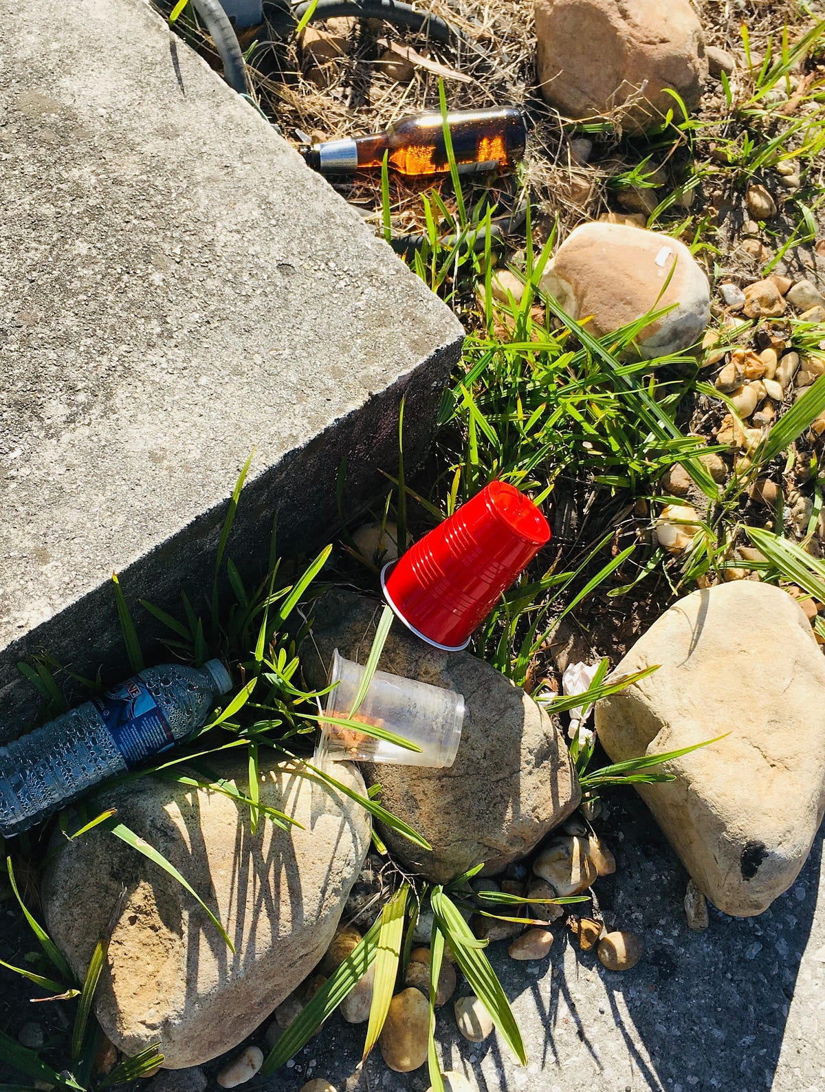 Would You Pick Up Someone Else’s Trash? | by Bobbie O'Brien ...