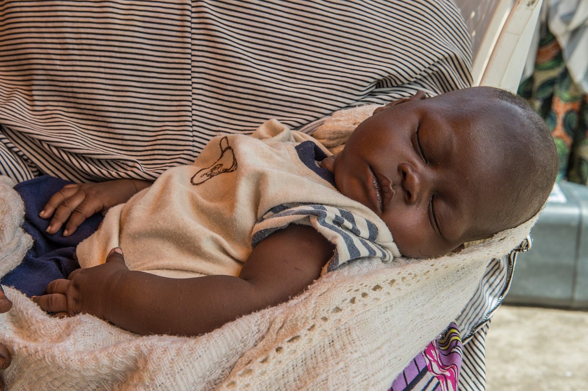 Fighting to bounce back. How World Food Programme (WFP)… | by Prince Adedeji Ademigbuji | World ...