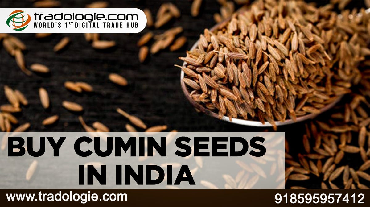 Buy Cumin Seeds in India. Cumin Seeds is being cultivated in the… | by ...