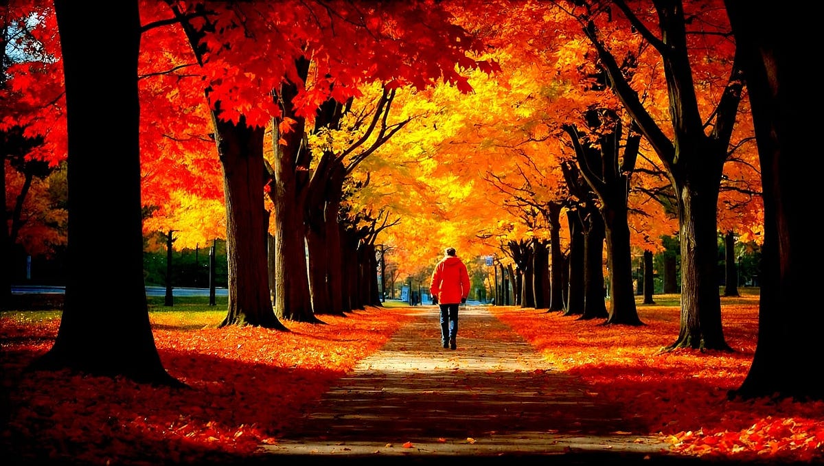 10 Reasons Falls in the Best Season | by Bombshell Whims | Sep, 2024 ...