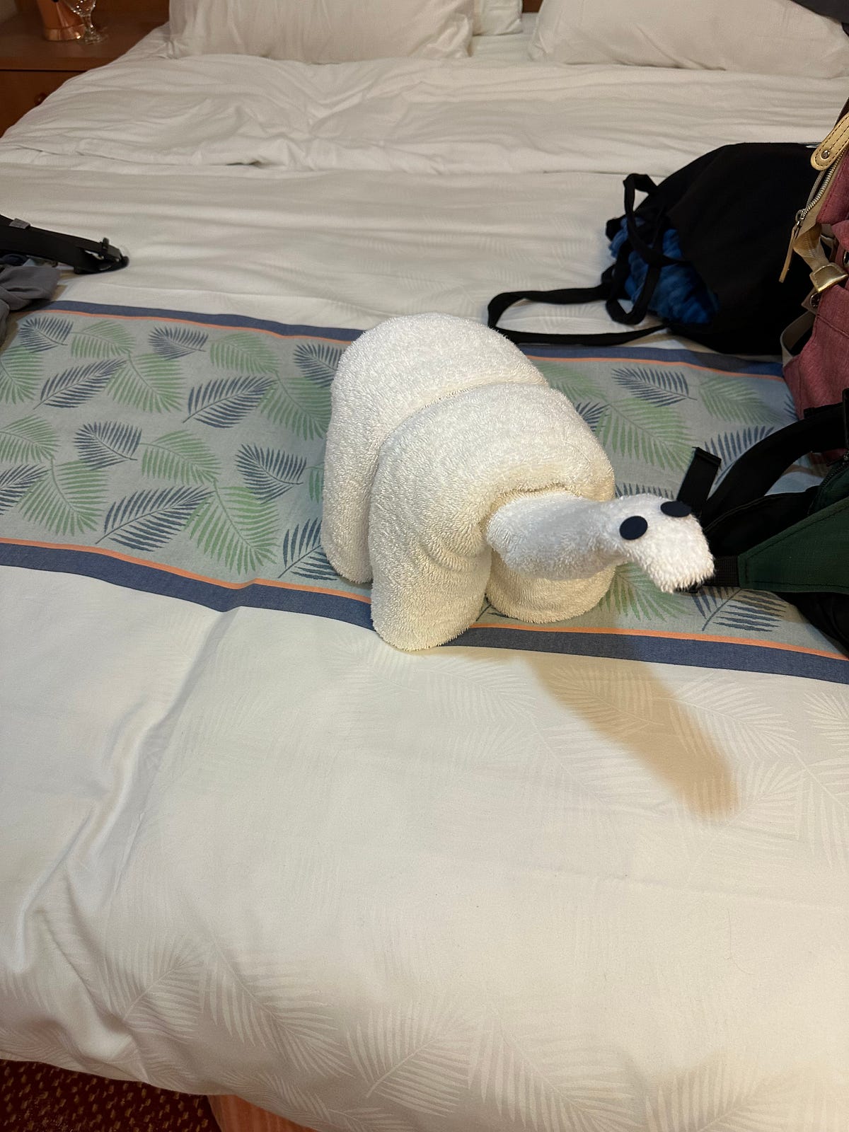 Carnival Legend, Dec 3–10 — My Excessively Long Trip Report | by Anye Shafer | Medium