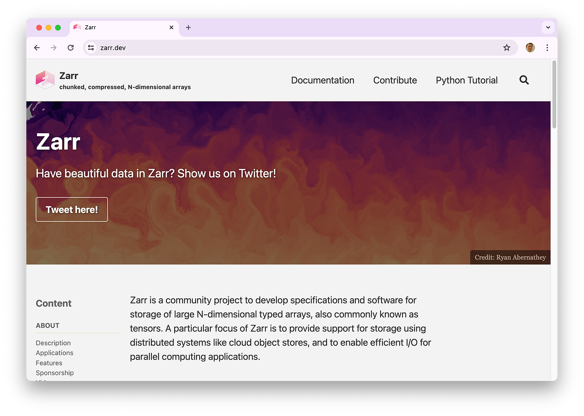 Spotlight: Zarr. Welcome to our new Spotlight Series… | by Tim ...