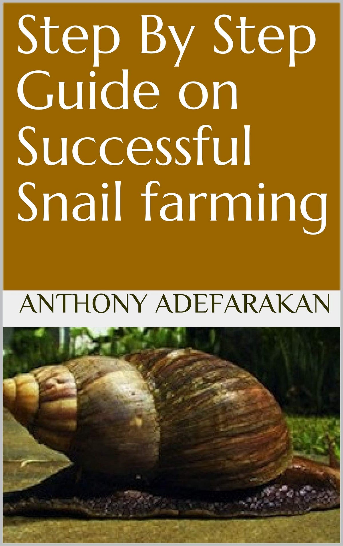 [EBOOK]-Step By Step Guide on Successful Snail farming | by Pjbrnlw | Medium