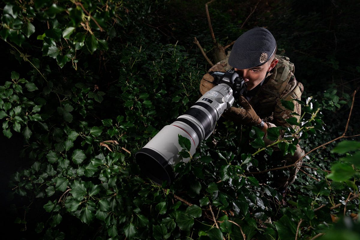 World Photography Day 2021: the best work of military photographers ...