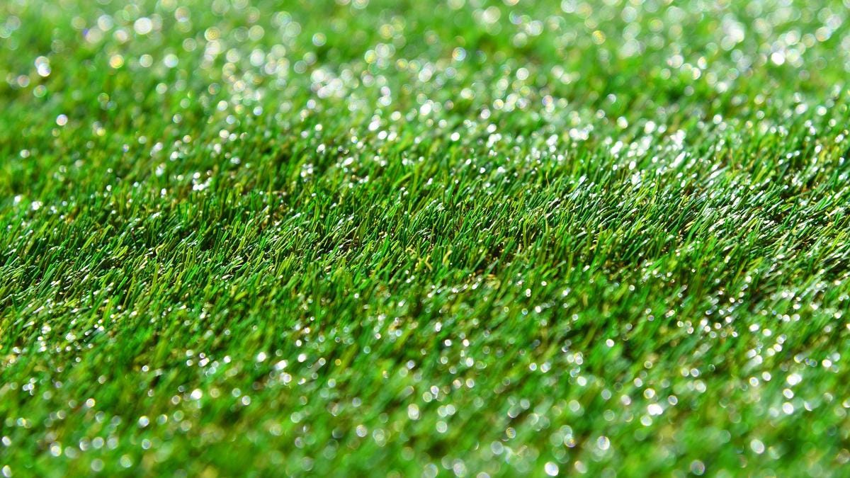 Mengenal Jenis Rumput Kolonjono: Manfaat dan Pemanfaatan dalam ...