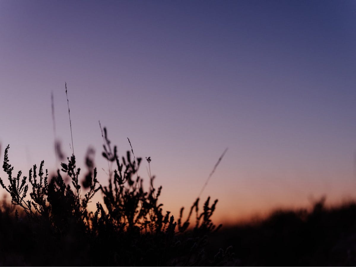 Where does the love go when we stop loving? | by Chai | Jun, 2025 | Medium