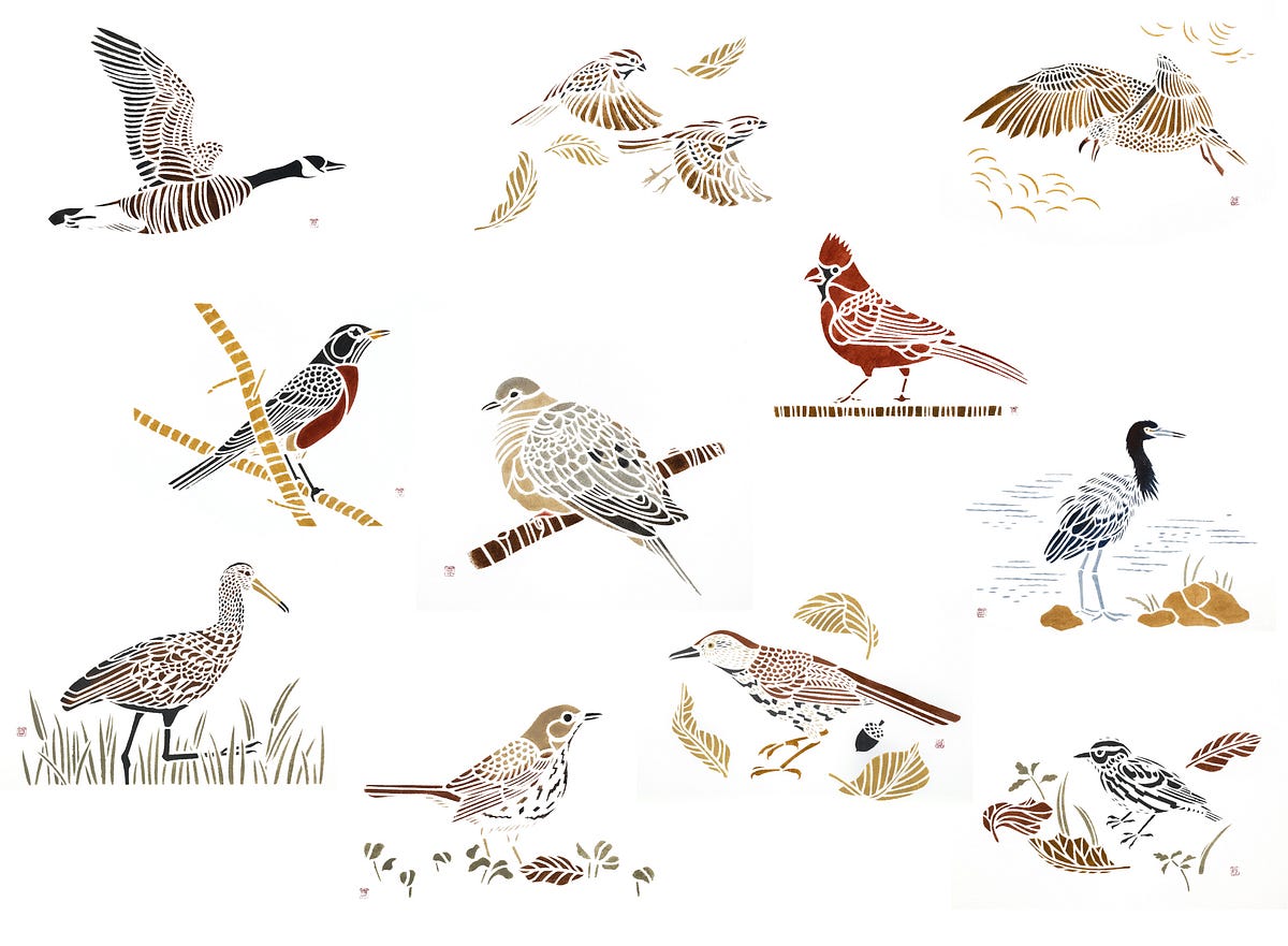100 Birds Project. There is a ritual called Ohyakudo (“one… | by Mayuko ...