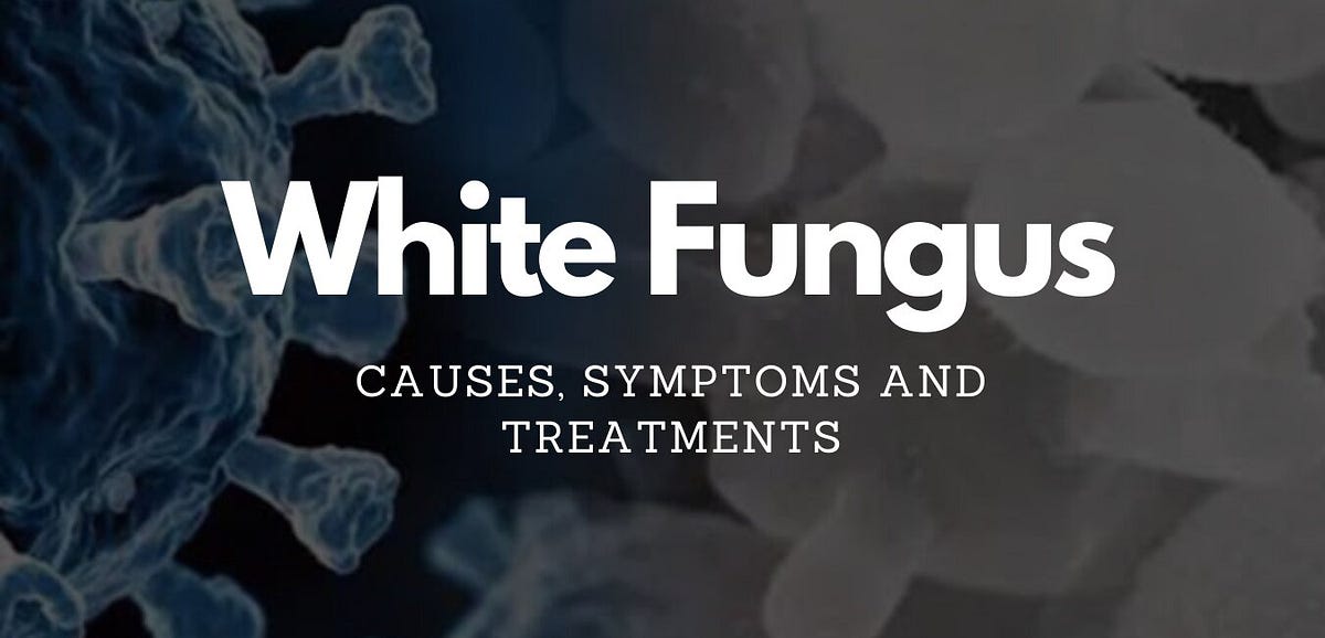 What is White Fungus?. White Fungus is a fungal infection… | by Lucky ...