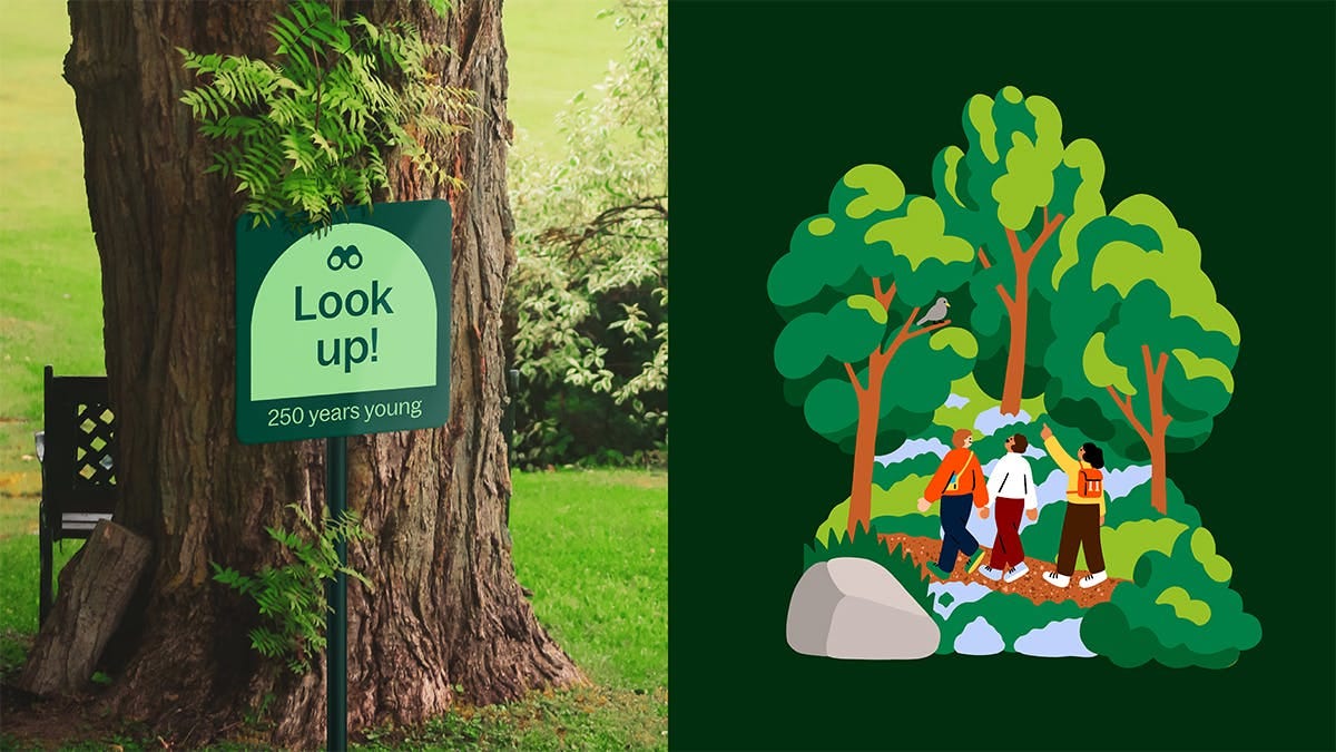 Pracs Logo Center Parcs Europe's Rebrand Goes Back To Nature