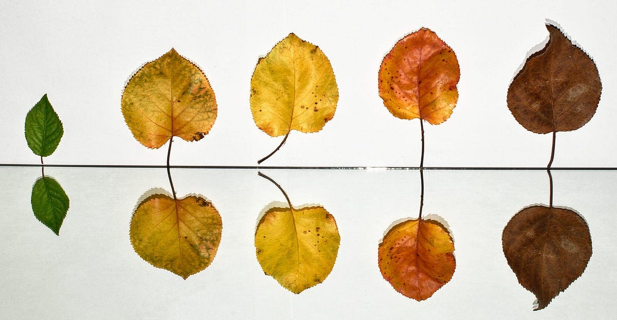 First-day nerves. Learning to let go | by Rebecca Berry | Diary of a ...