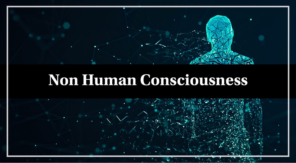 Non Human Consciousness. A legal investigation into Life | by Brian ...