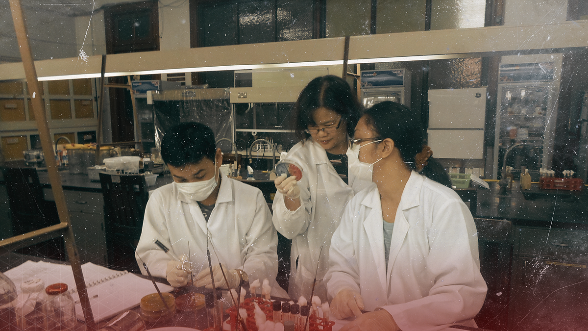 May Multo sa Laboratoryo. ni Reyanne Faith Cabardo | by The Manila ...