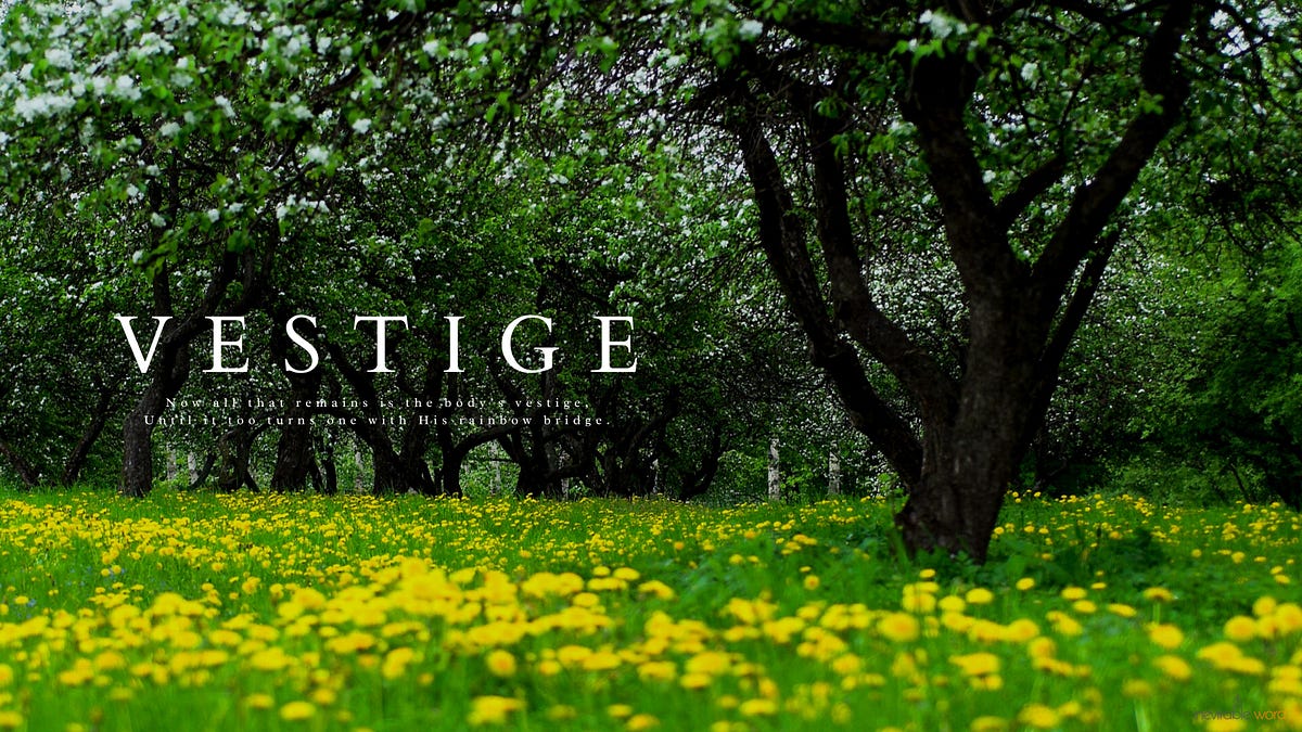 Vestige - Inevitable Word - Medium