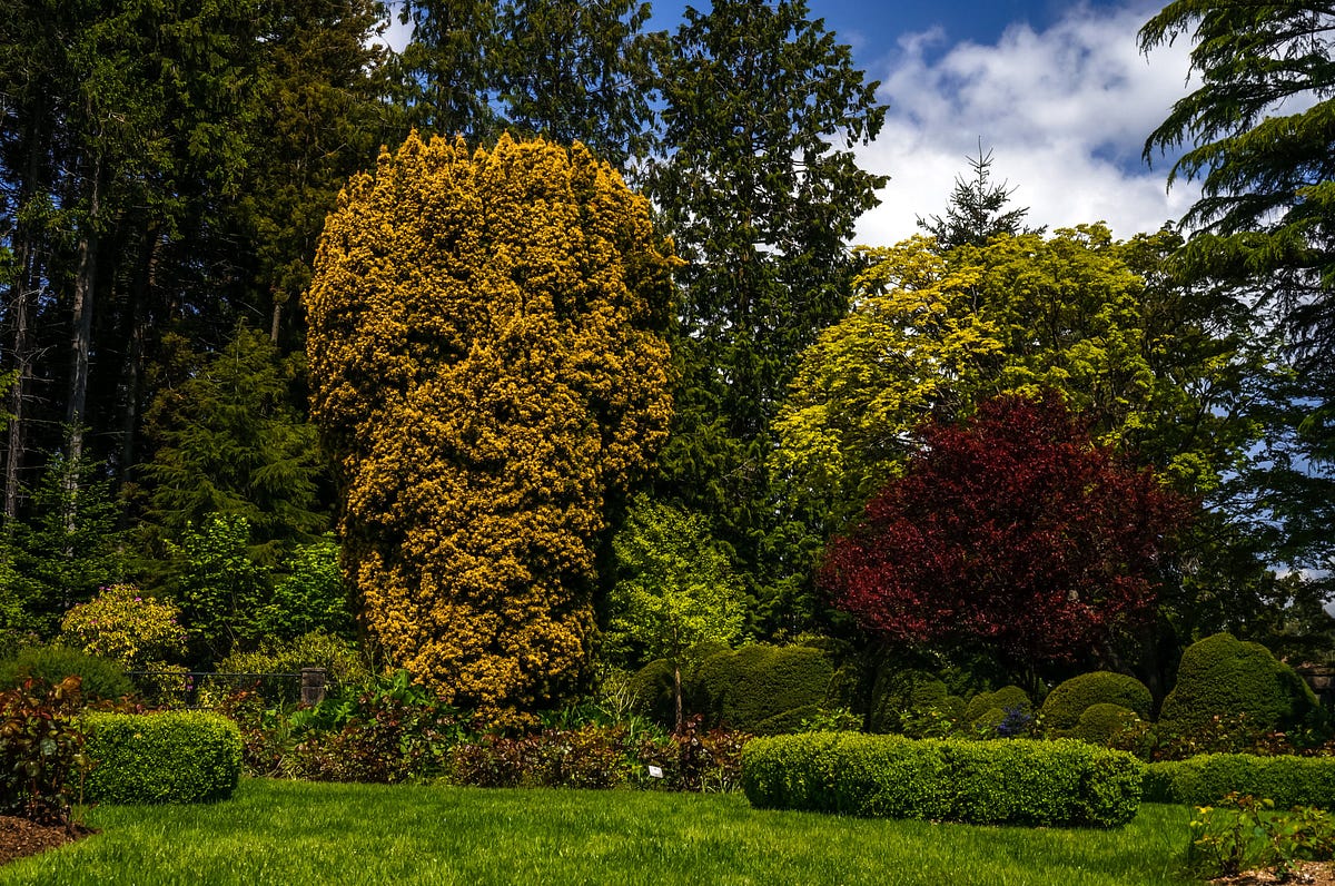 When to Plant Trees and Shrubs: A Guide to Timing Your Garden’s Growth ...