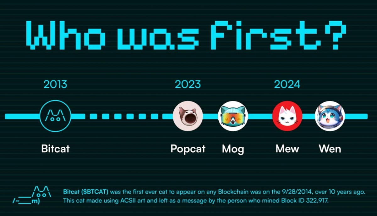 Bitcat — The Story of the First Crypto-Cat and Its Influence in the Blockchain World | by Think ...