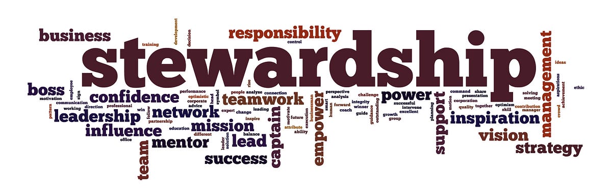 Stewardship & Optimizing Organizational Capacity | by Ari Betof | Org ...
