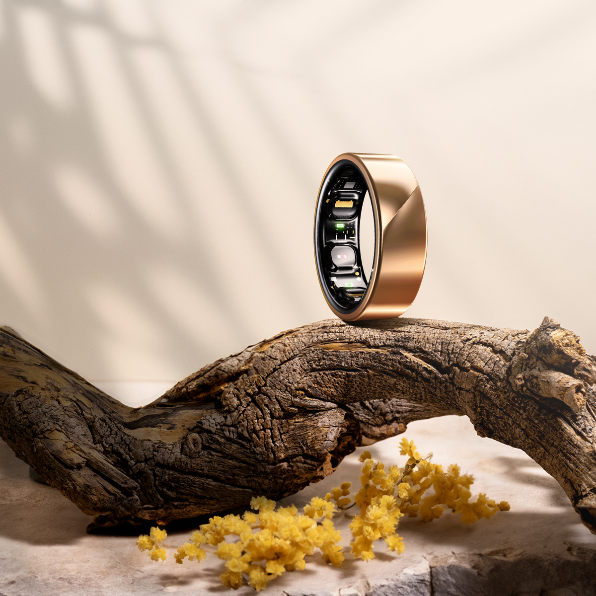 Why Luna Ring is more than a smart ring? | Medium