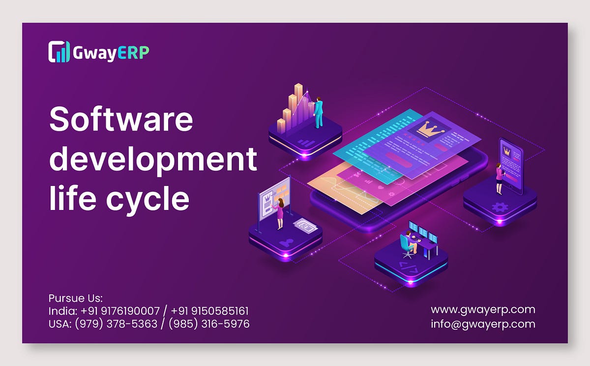 Best ERP Customized Software Developers | by krishna philips | Medium