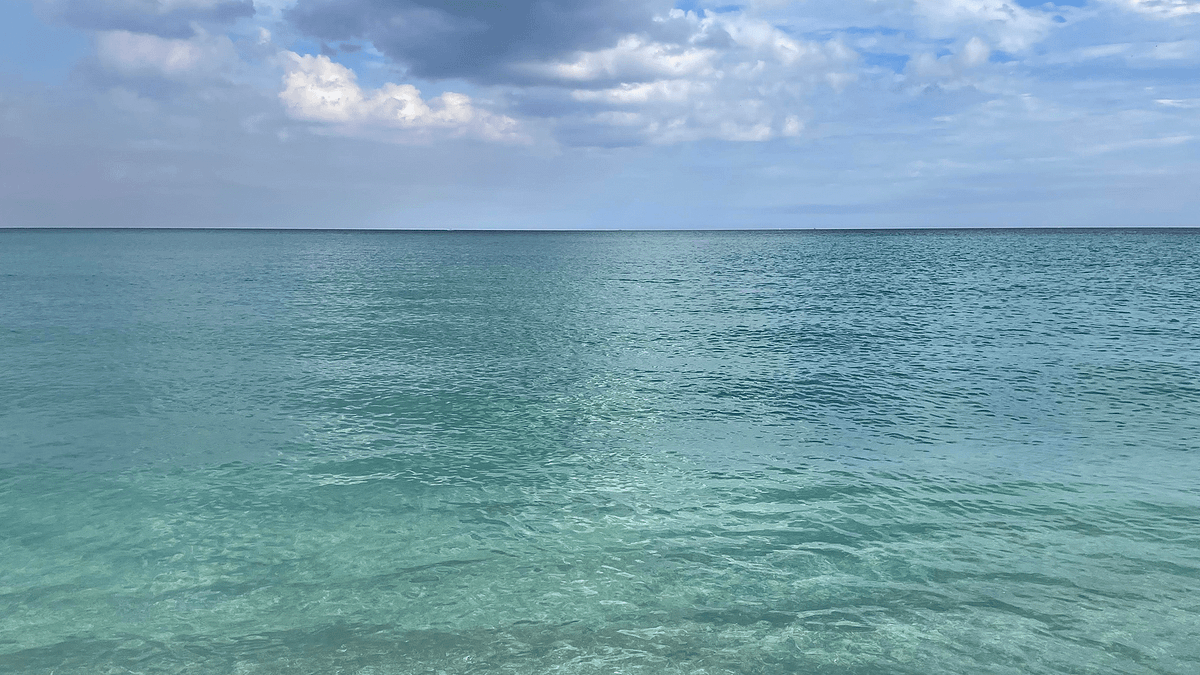 Calm Ocean Water. The perfect reflector | by Edith Gallagher Boyd | A ...