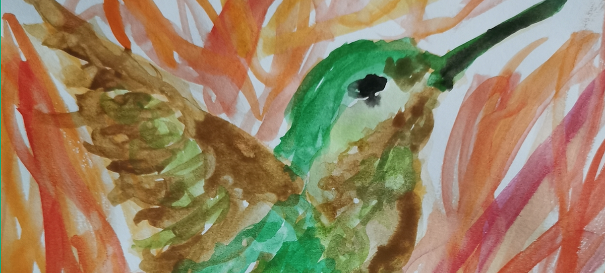 The Hummingbird. A fire rages across the forest burning… | by Victoria ...