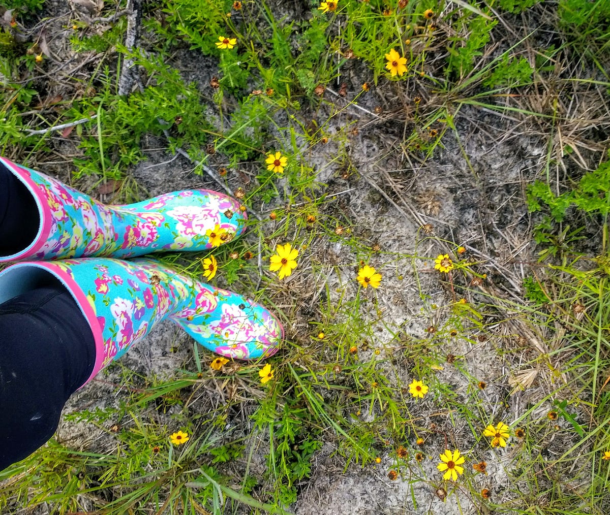 Jump Into The 2026 Photography Challenge! | by Bernadette E Wallace ...