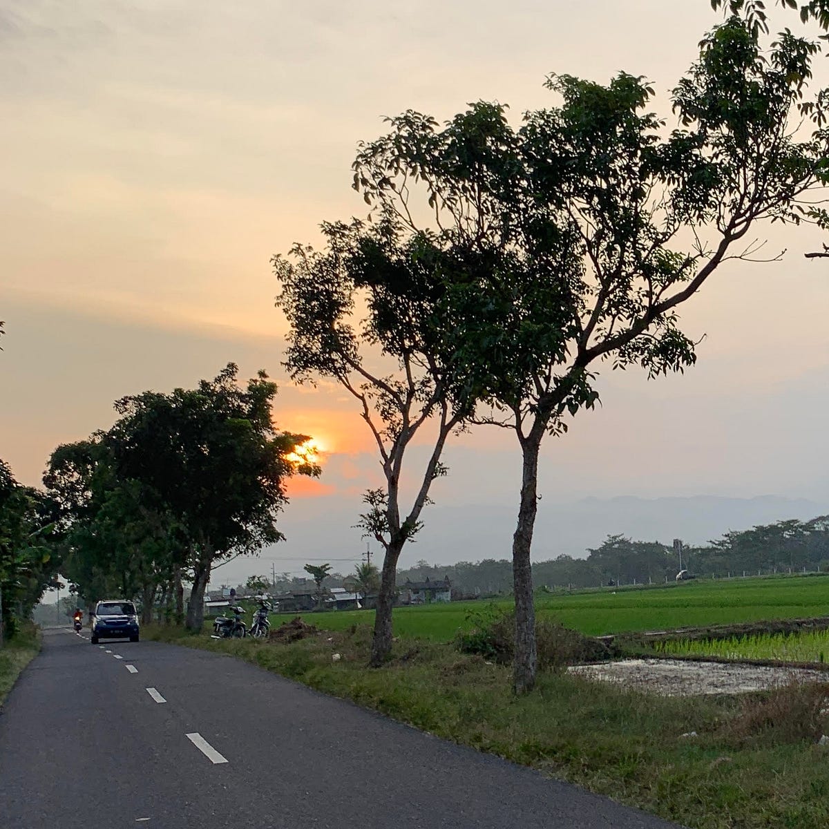 Outsider. Growing up in South Tangerang and South… | by Herwidati Maliki | Medium