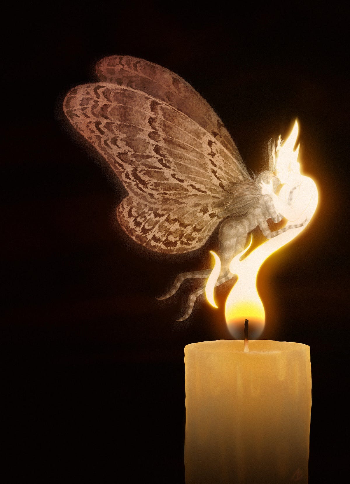 A Moth On Flame (Poem). Why do you take me as one of your… | by Booboo ...