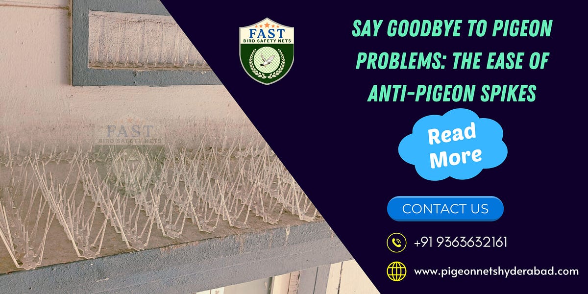 Say Goodbye to Pigeon Problems: The Ease of Anti-Pigeon Spikes | by ...