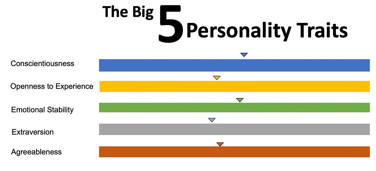 Exploring the Nuances of our ‘Personality Types’ | by Raunaque | Aug ...