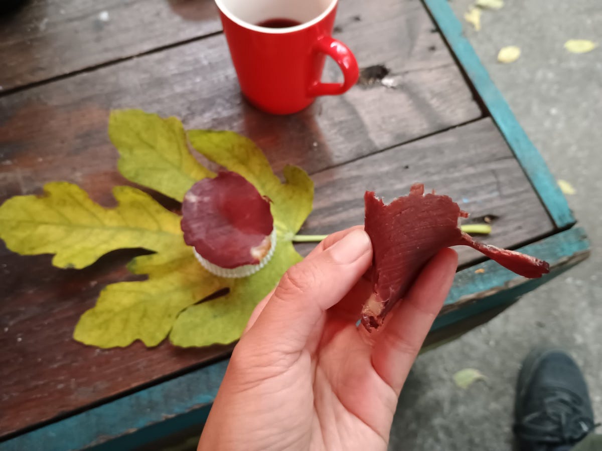 In the Patio, in Deep Autumn. A ritual of humour, symbolism, and the… | by Sigrid Gladstone ...
