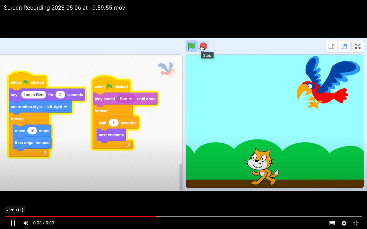 Scratch Video Motion at Marilyn Stumpf blog