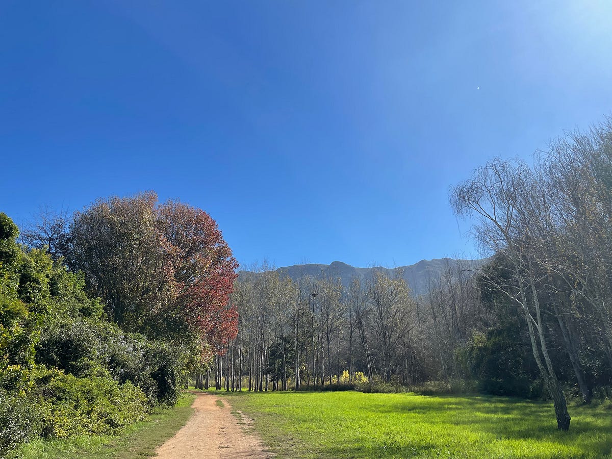 autumn breeze - karly (re)marks - Medium