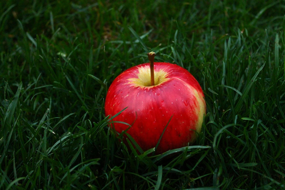 Was Isaac’s Apple an Echo of Original Sin? | The Hub Publication