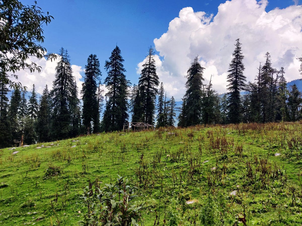 Phulara Ridge Trek: A Hidden Gem in the Himalayas | by Rawatavnish ...