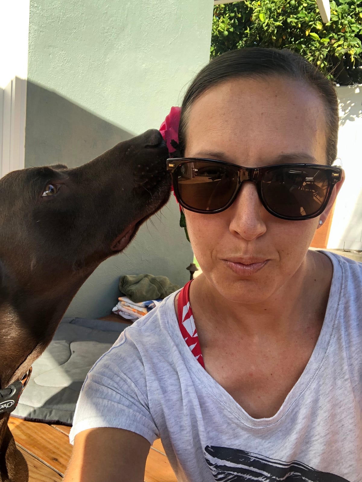 Leadership Lessons From Griz: An Ode to My Dog | by Kristiana Almeida ...