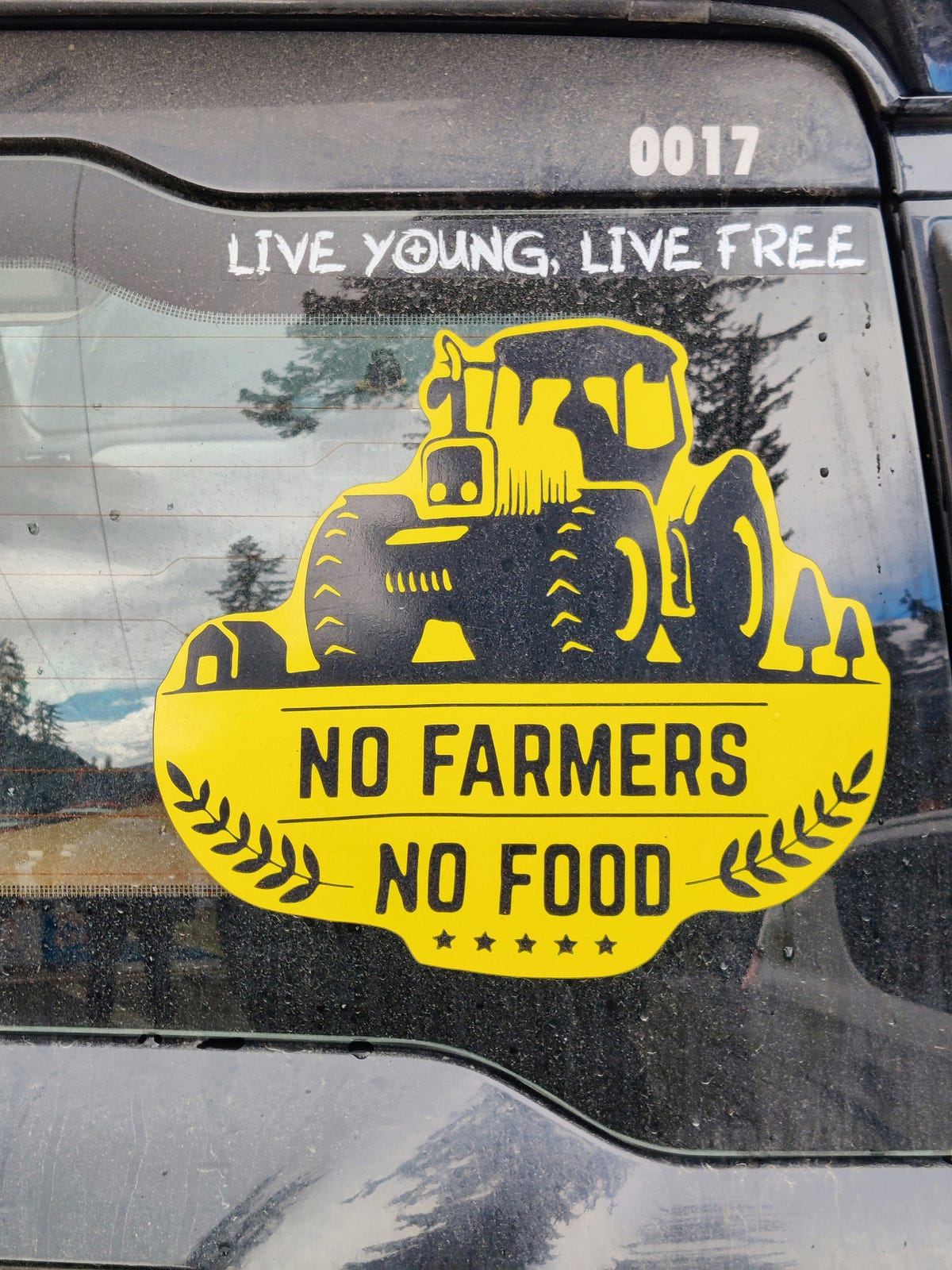 No Work, No Food - Zazen - Medium