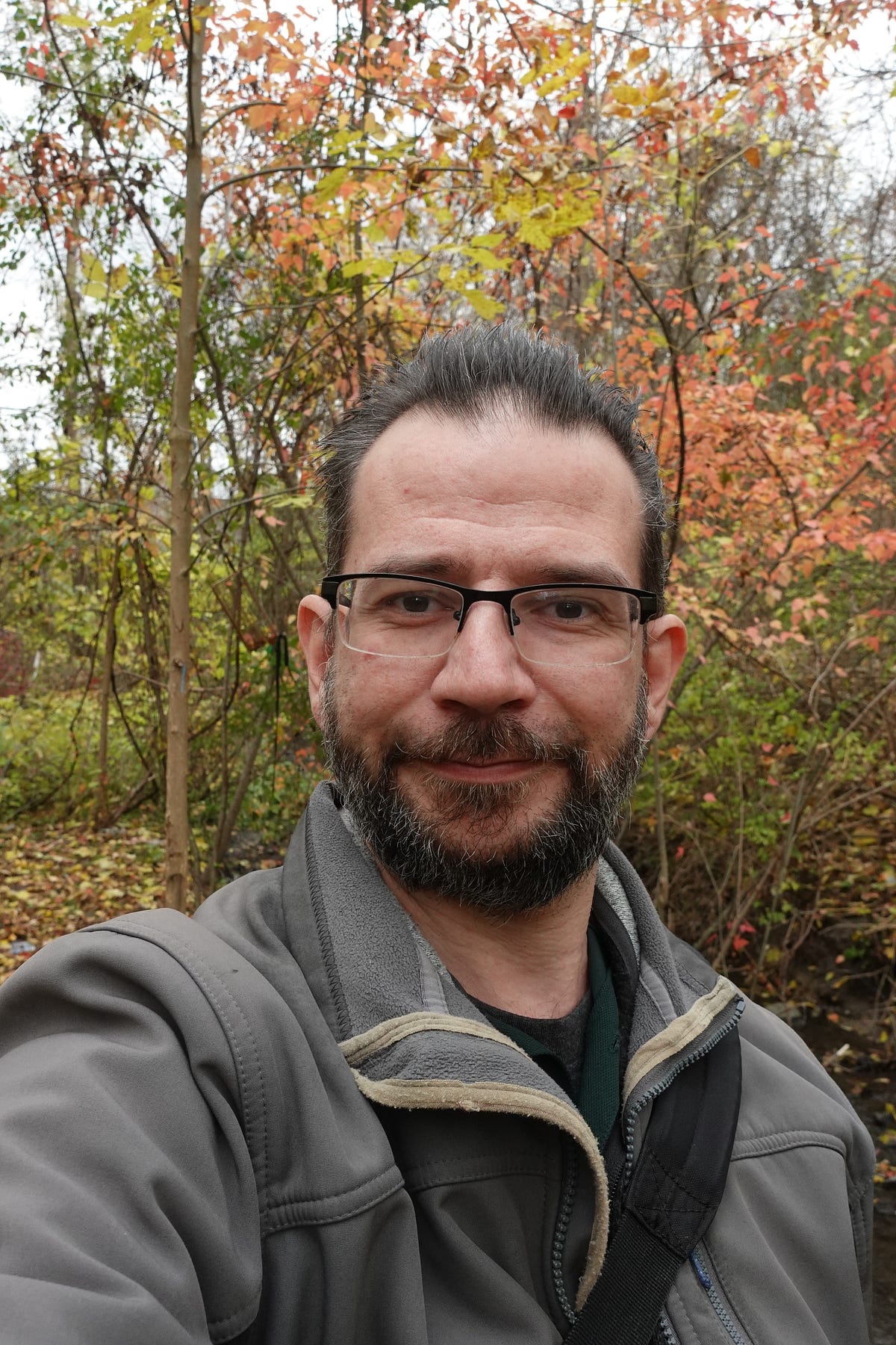 Thank You Readers For A Great October! | by Curtis Alexander | Nov, 2025 | Medium