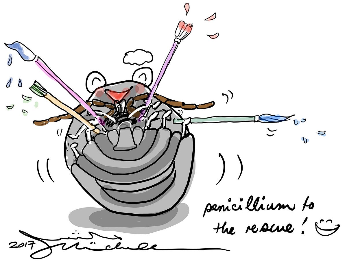 Silly Dilly! | by FiddleStickitty | Medium