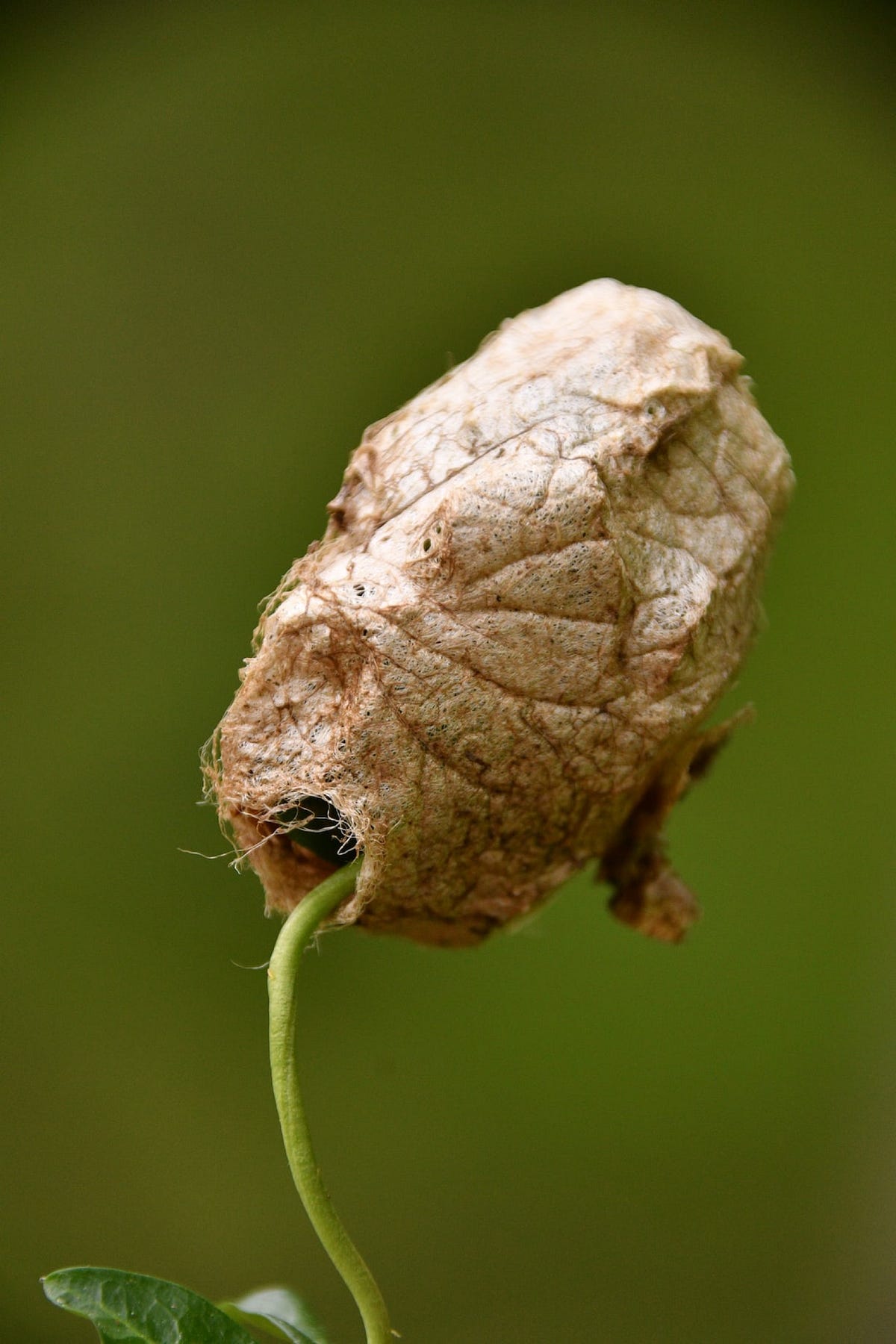 The process is not the end result. - Casey Weaver - Medium