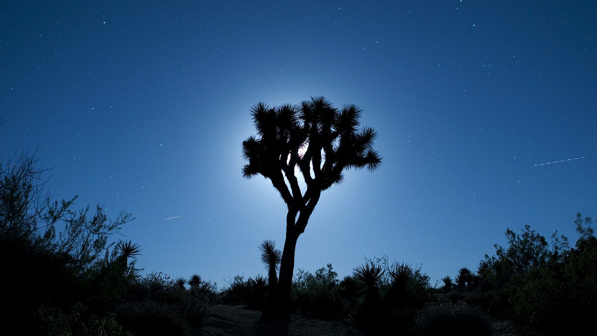 Rising Moon. The moon rises | by Danielle Ahern | Medium