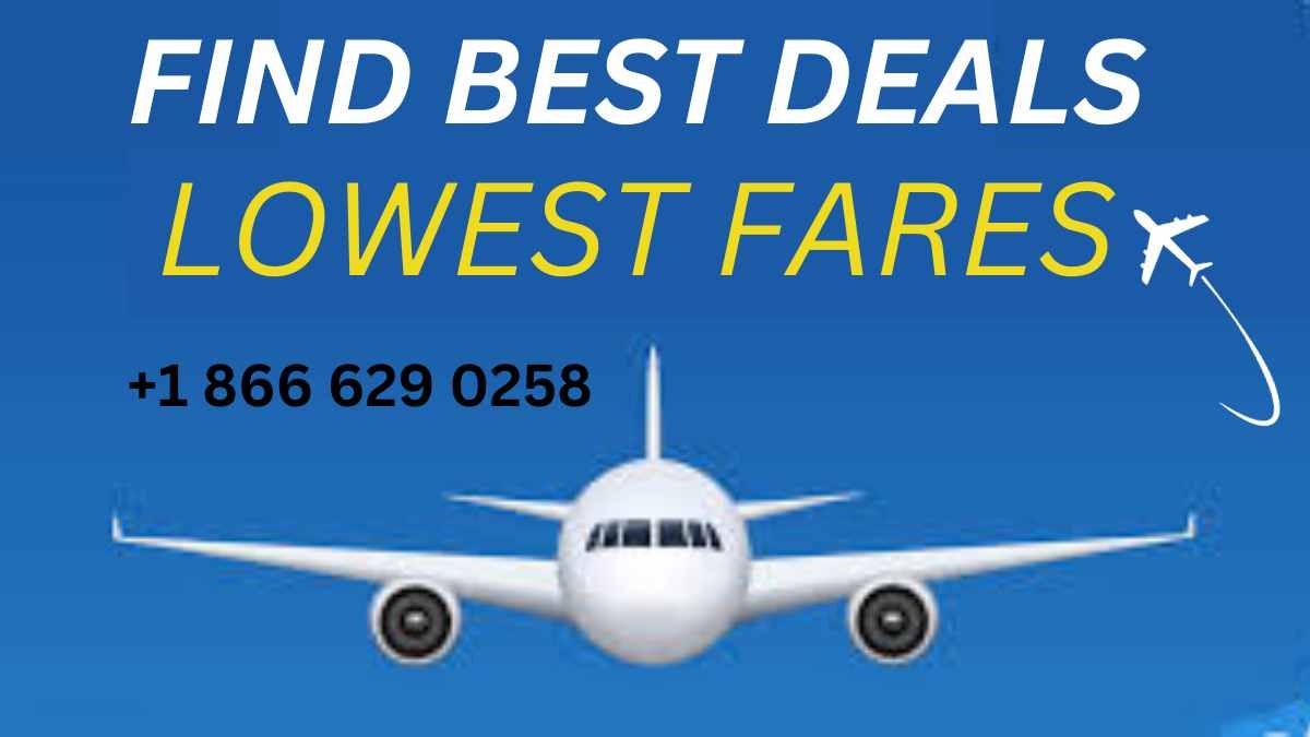 Find Cheap Flights Easily: Your Ultimate Guide to Affordable Airfare ...