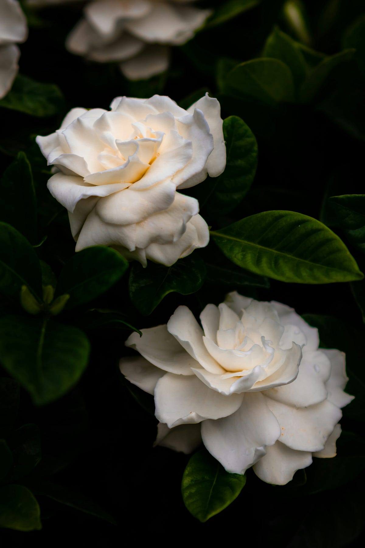 Second Base or Third Base. Valentine’s Day Month Is Ending Soon… | by ...