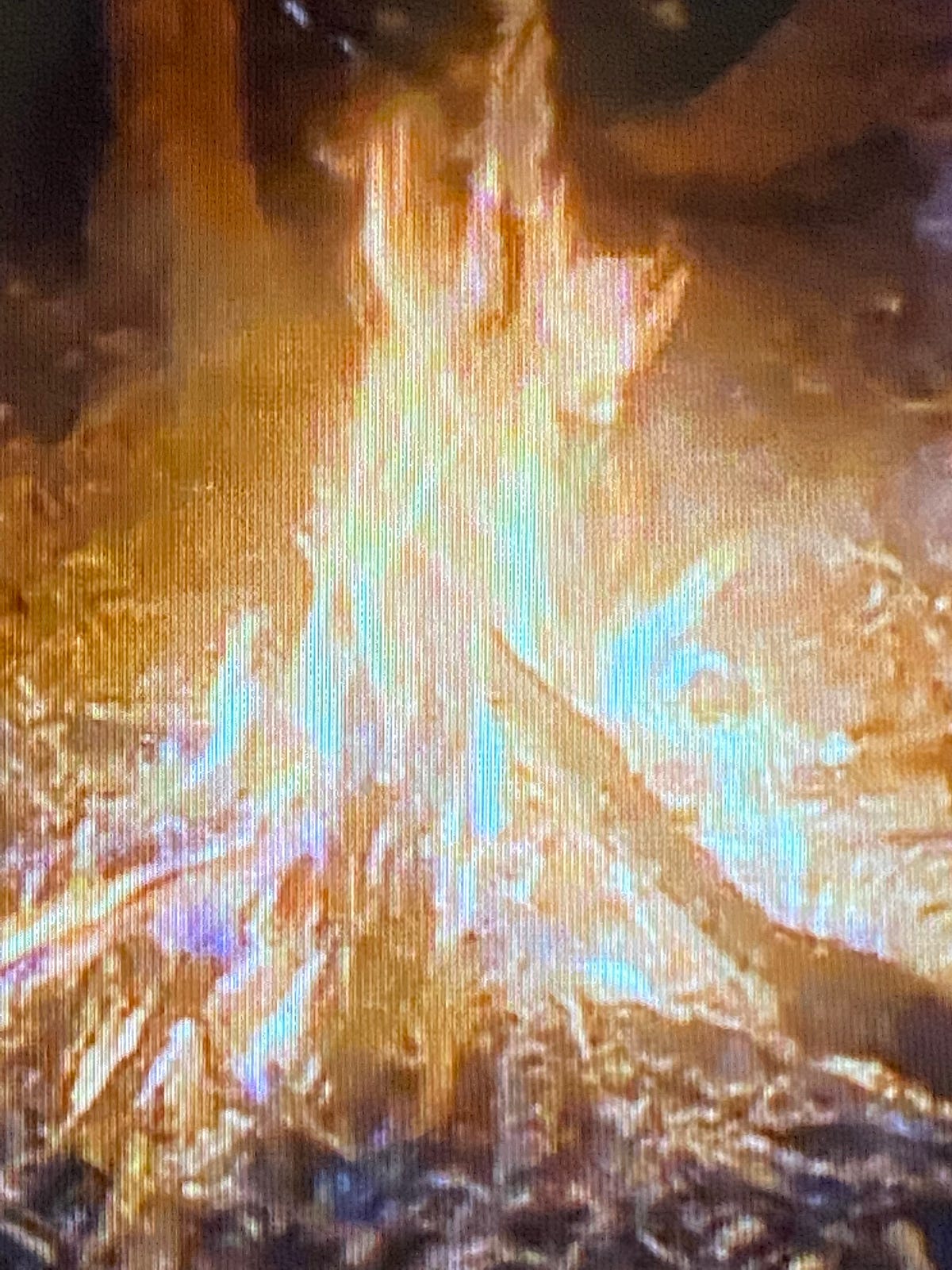 Past The Fire - Richard Palmquist, DVM GDVCHM CCHVM - Medium