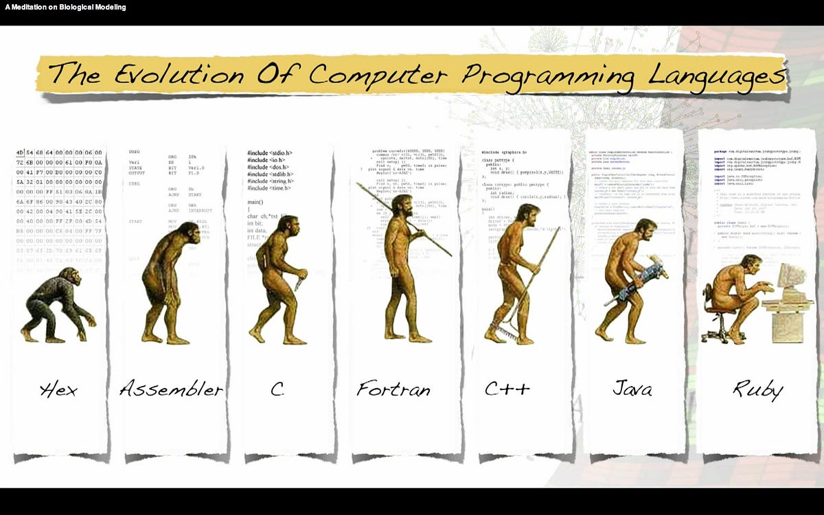 Choosing your first programming language | by Philip Kaare Løventoft ...
