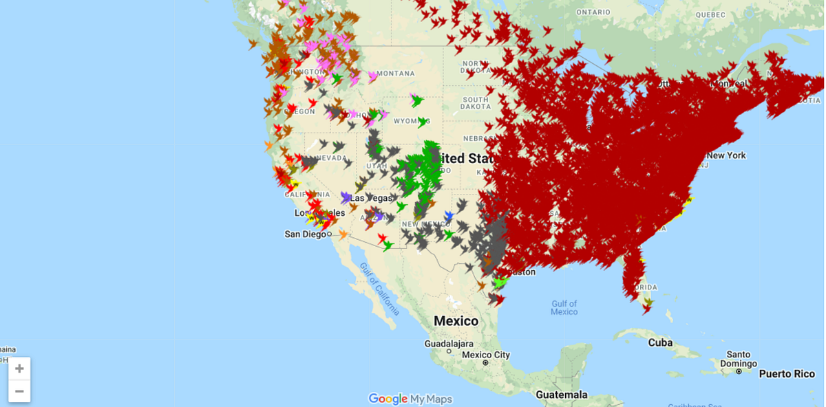 How To Follow The Hummingbird Spring Migration In 2022 | by Kristina ...