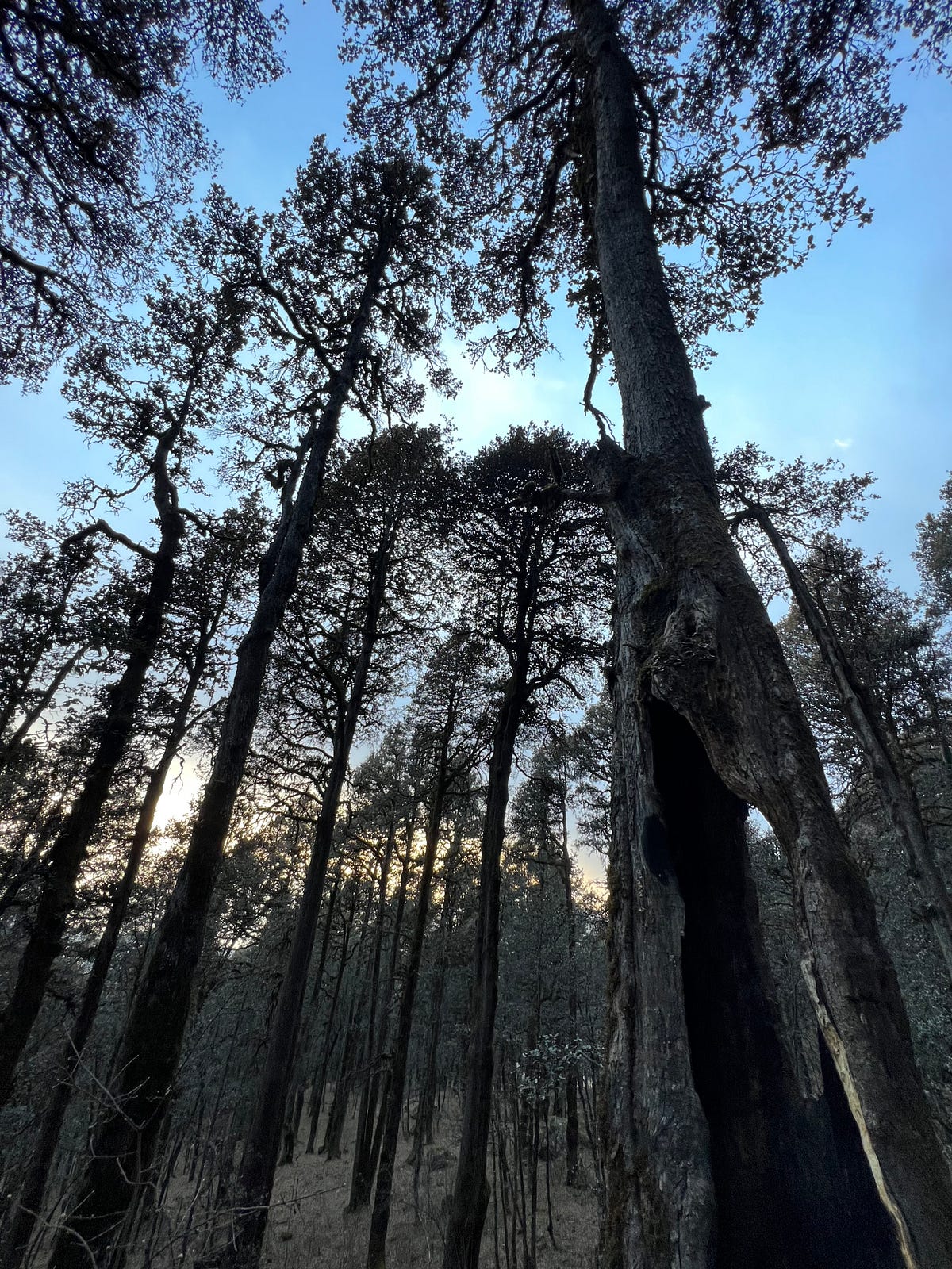 Ambitious much??? - Praneetha Sreeneethi - Medium