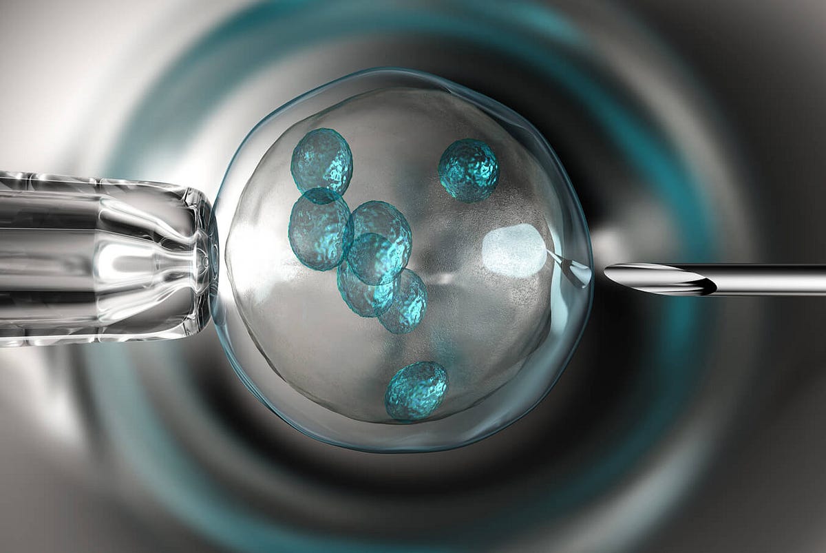What is the Success Rate of IVF for Women? | by ivf & genetics center ...