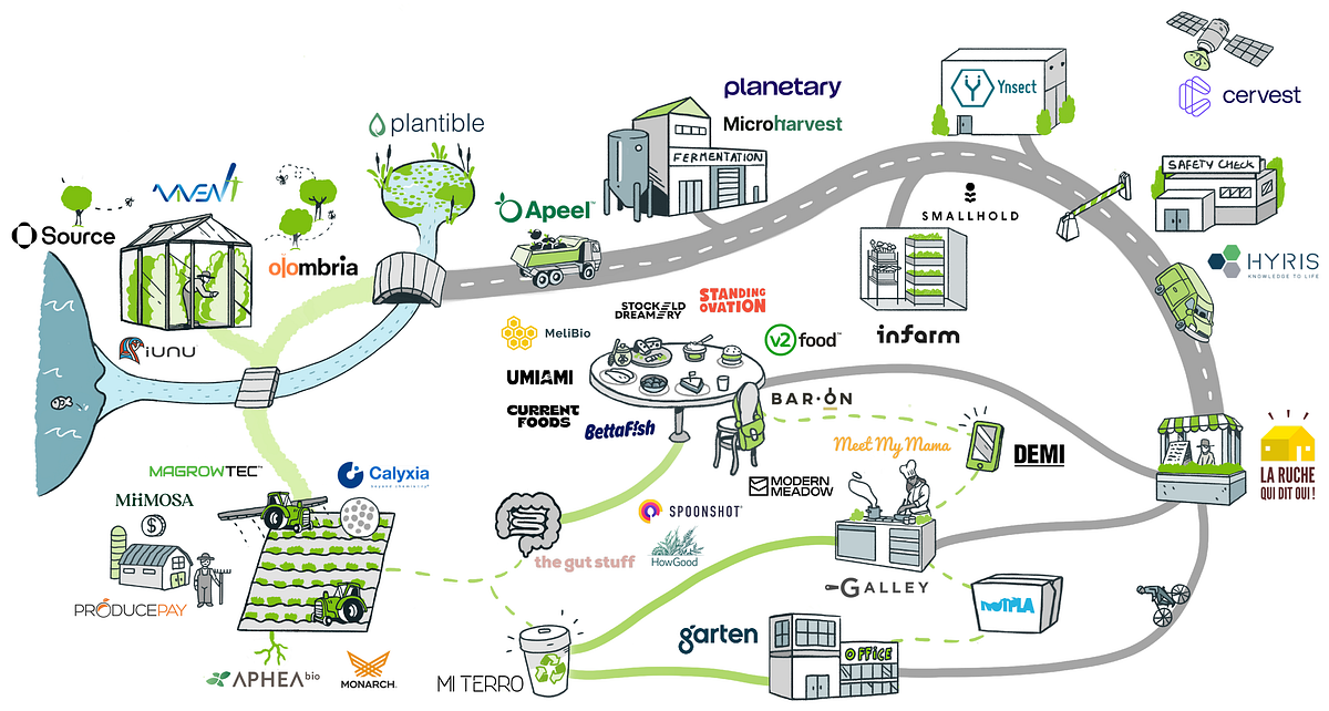 Scaling Impact: reflecting on our impact creation journey and sharing ...