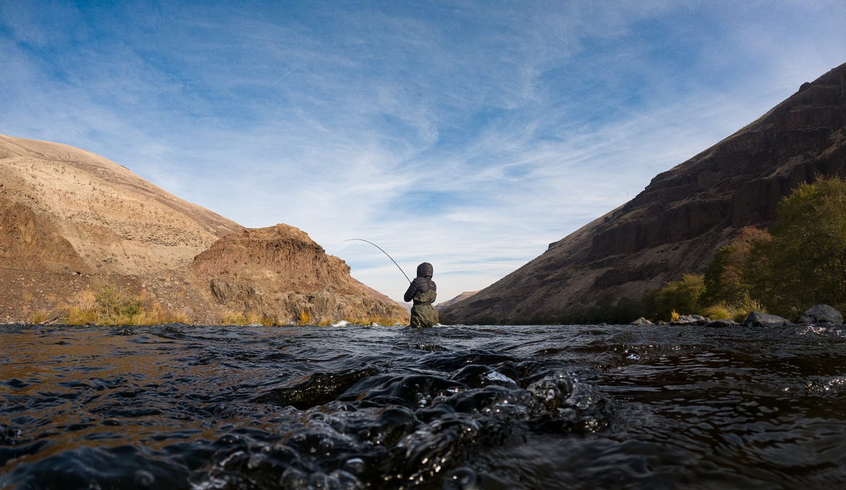 Why You Should Fish. A bright spot in hard times, a reason… | by Ryan ...