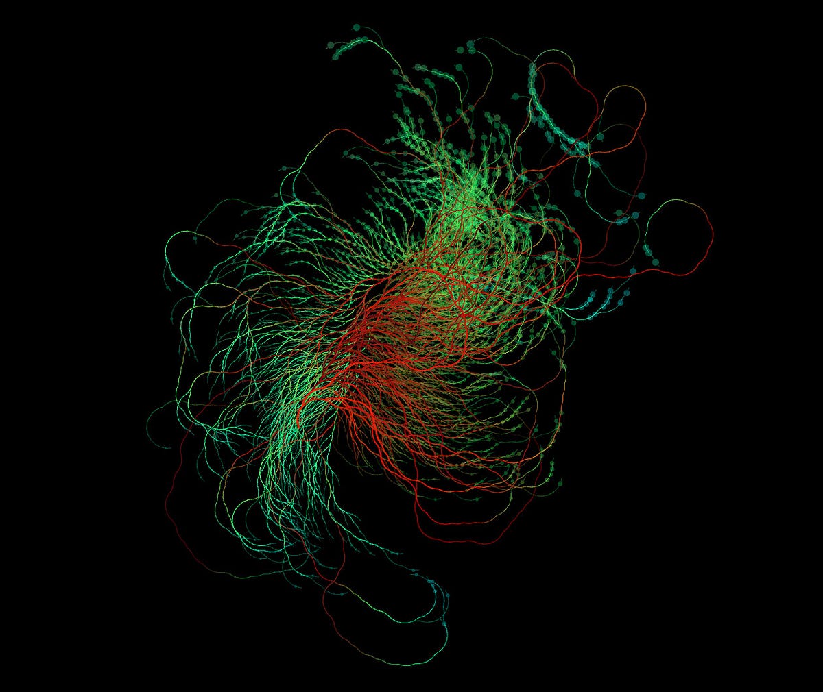 Unveiling the Enigma: Exploring the Collatz Conjecture | by Akalanka Dilshan | Medium